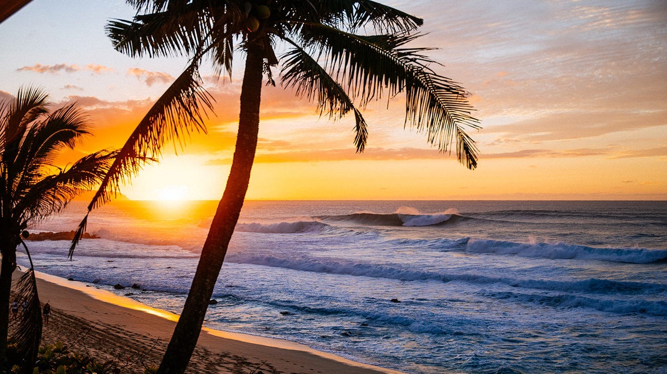 History of surfing: Polynesian origins and global growth – Rip Curl Europe